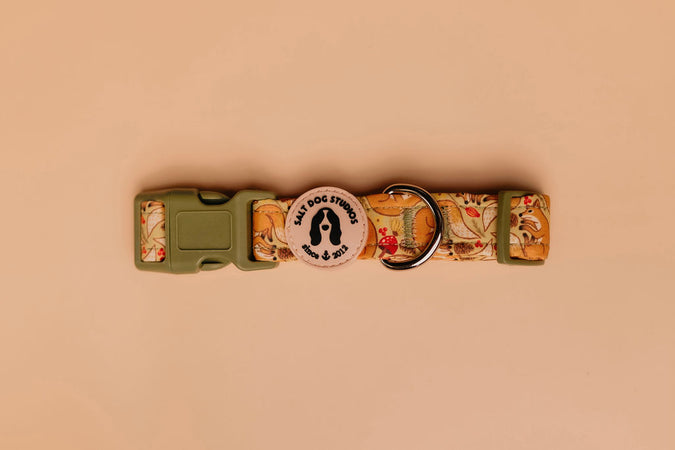 Fantastic Fox Dog Collar | Fox Print Collar UK – Salt Dog Studios Ltd